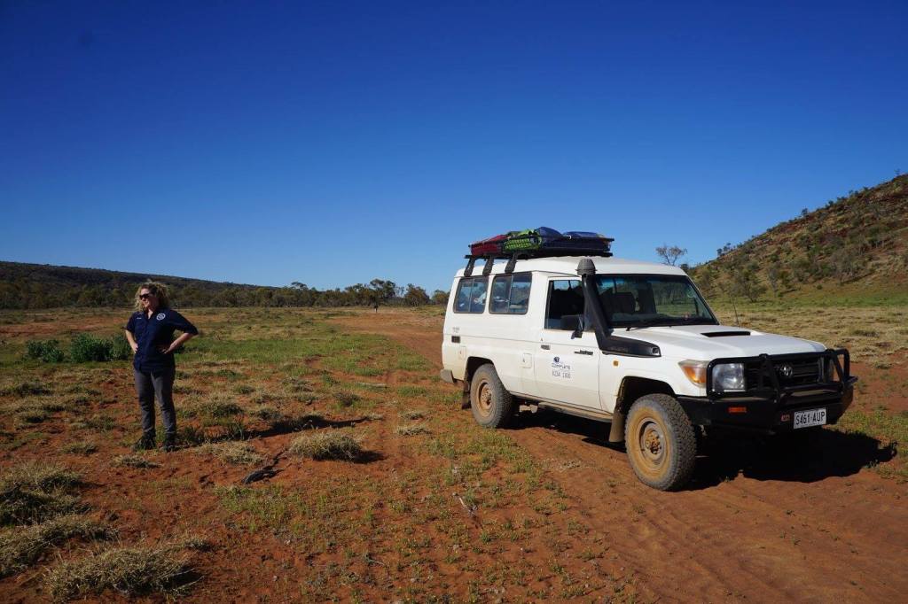 Contact – Dr Alice Clement