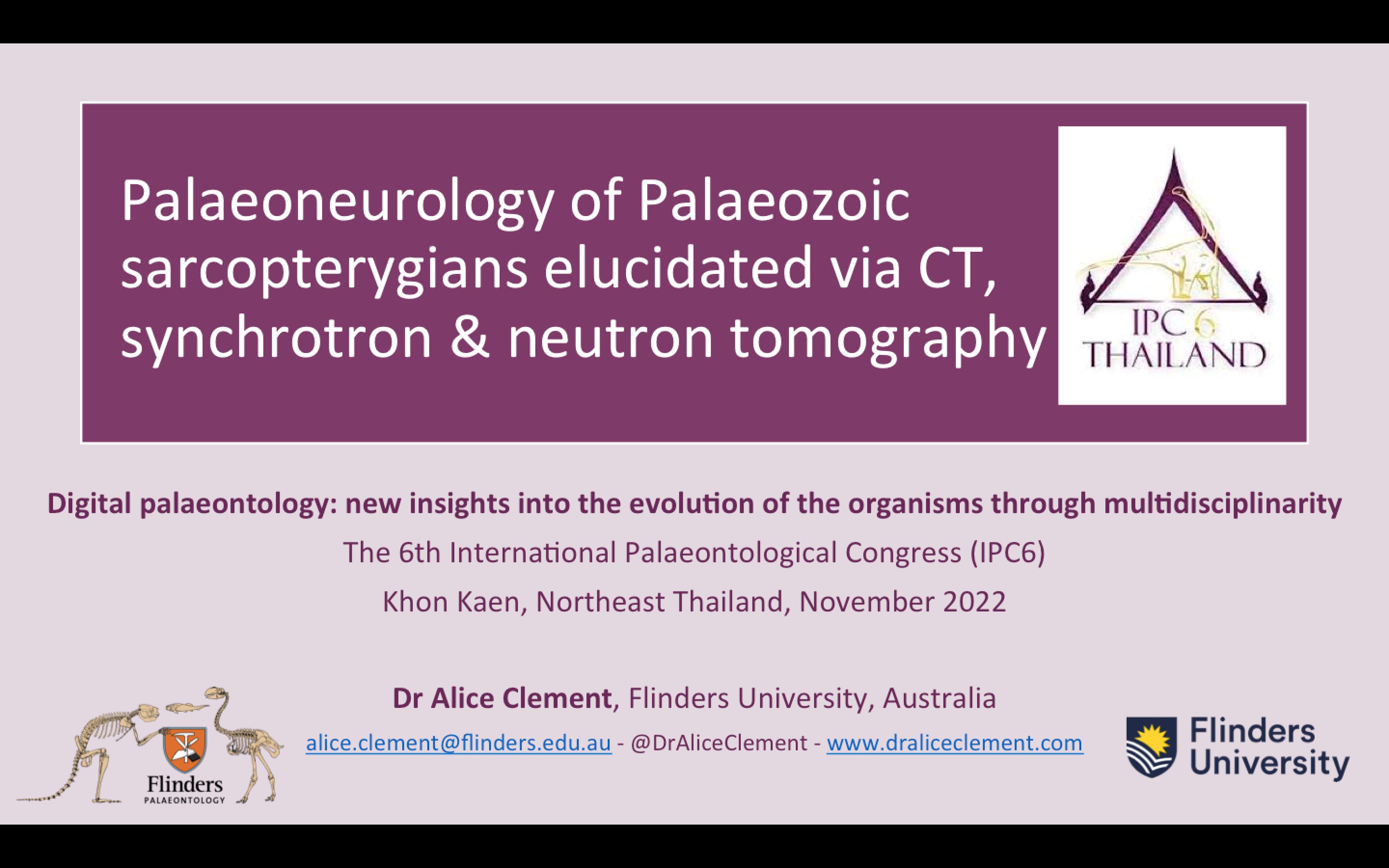 IPC6 in Thailand – Dr Alice Clement