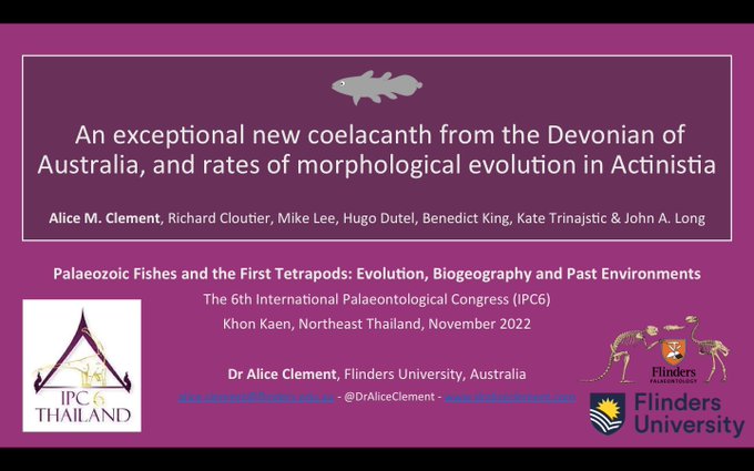 IPC6 in Thailand – Dr Alice Clement