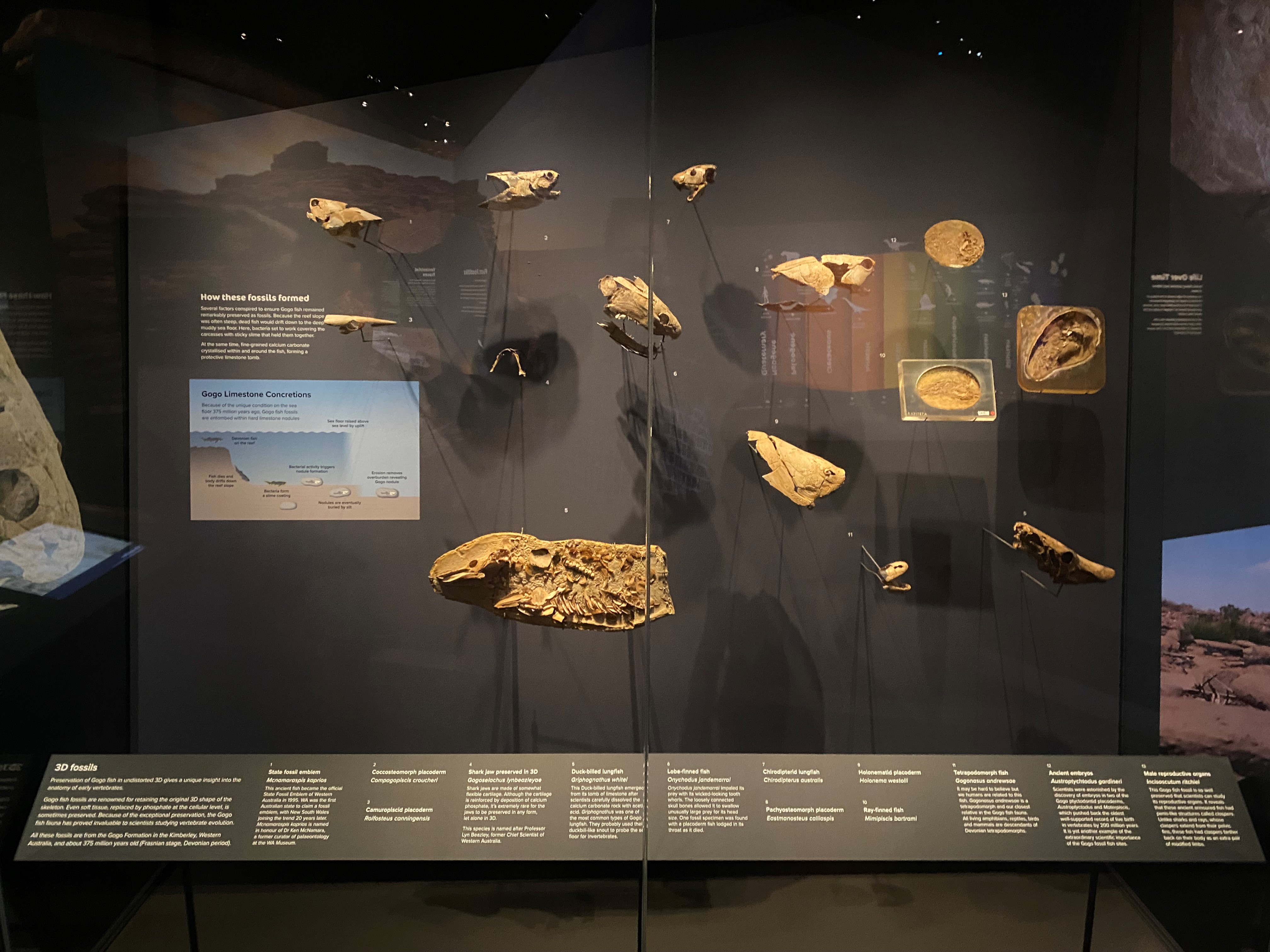 Go West! – Dr Alice Clement