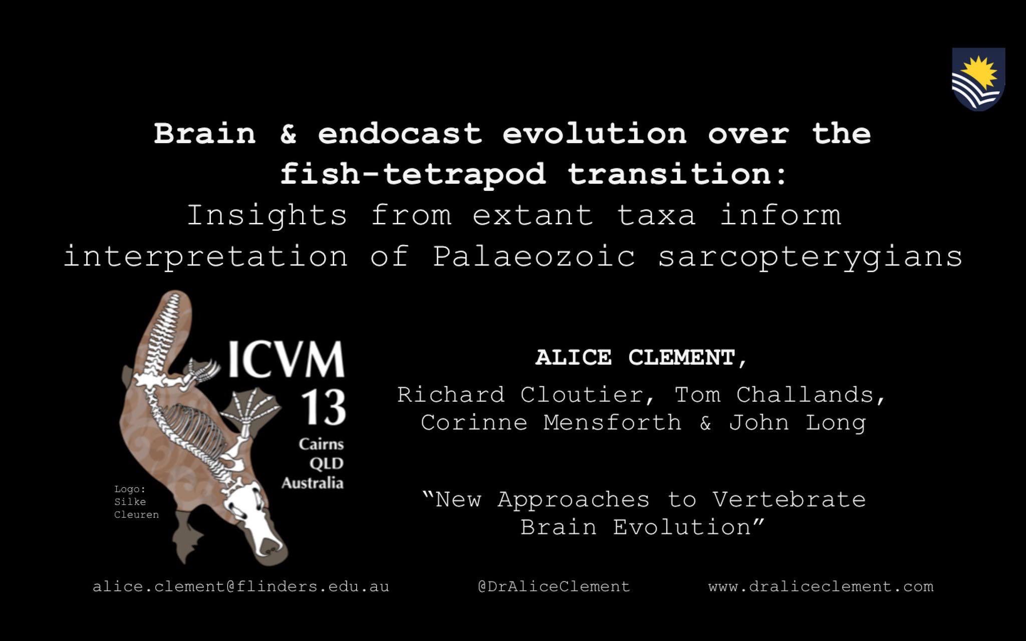 ICVM, Cairns – Dr Alice Clement