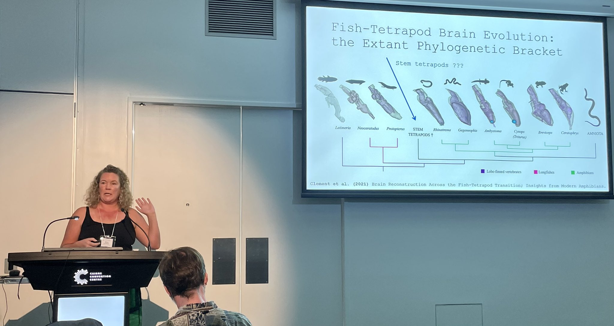 ICVM, Cairns – Dr Alice Clement