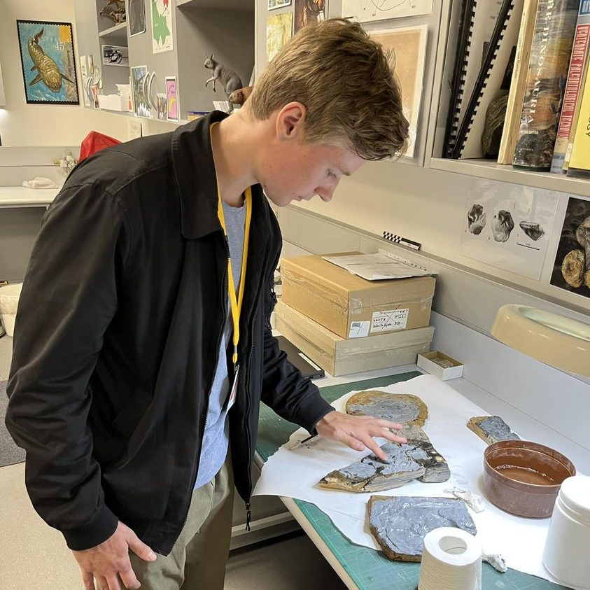 Early Vertebrate Research Group – Dr Alice Clement